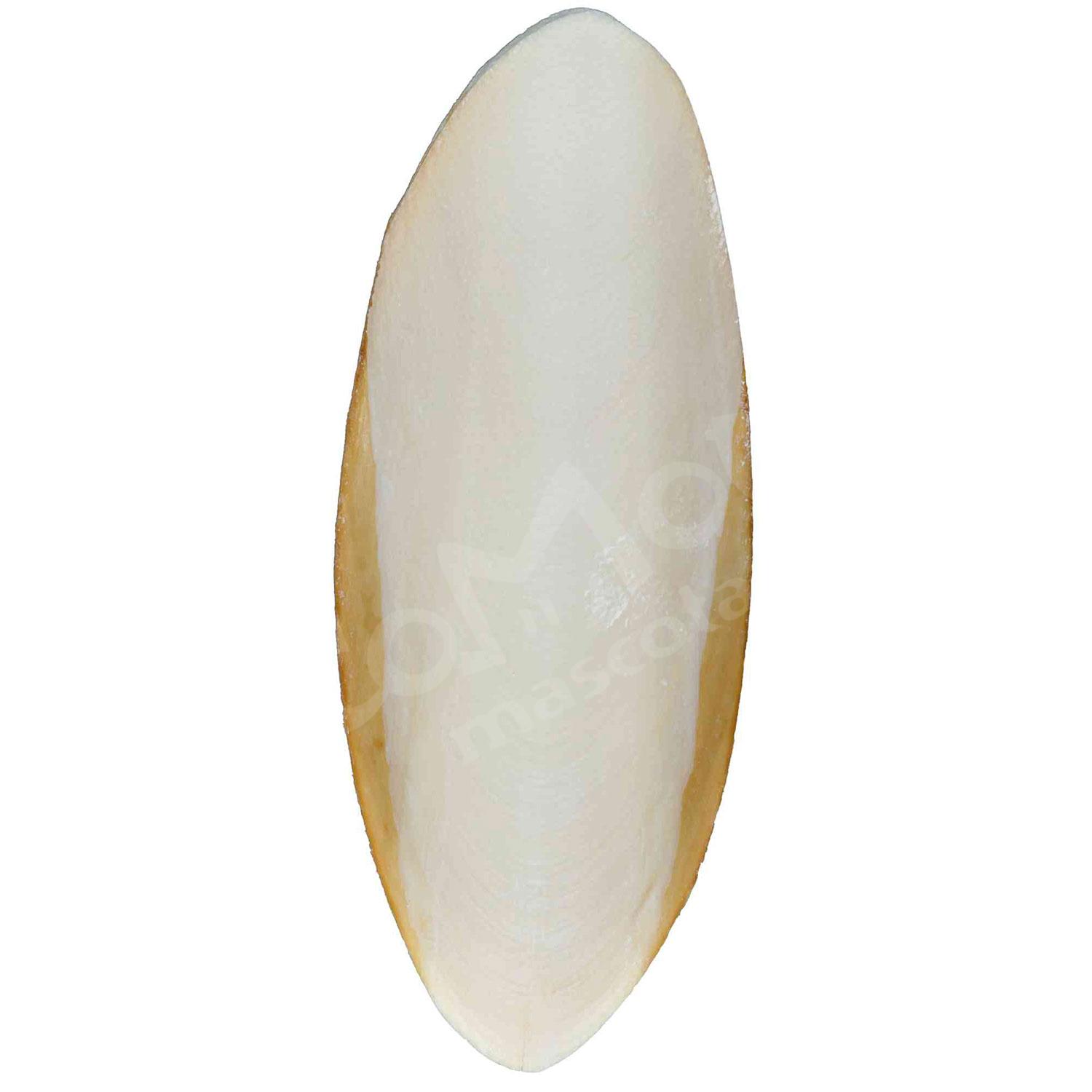 Hueso de Jibia 2 uds - Comotú Mascotas